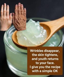 Homemade Aloe Vera Face Gel for Smooth and Hydrated Skin – Lets Cook