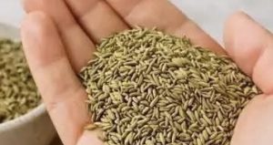 Homemade Fennel Seed Tea – Lets Cook